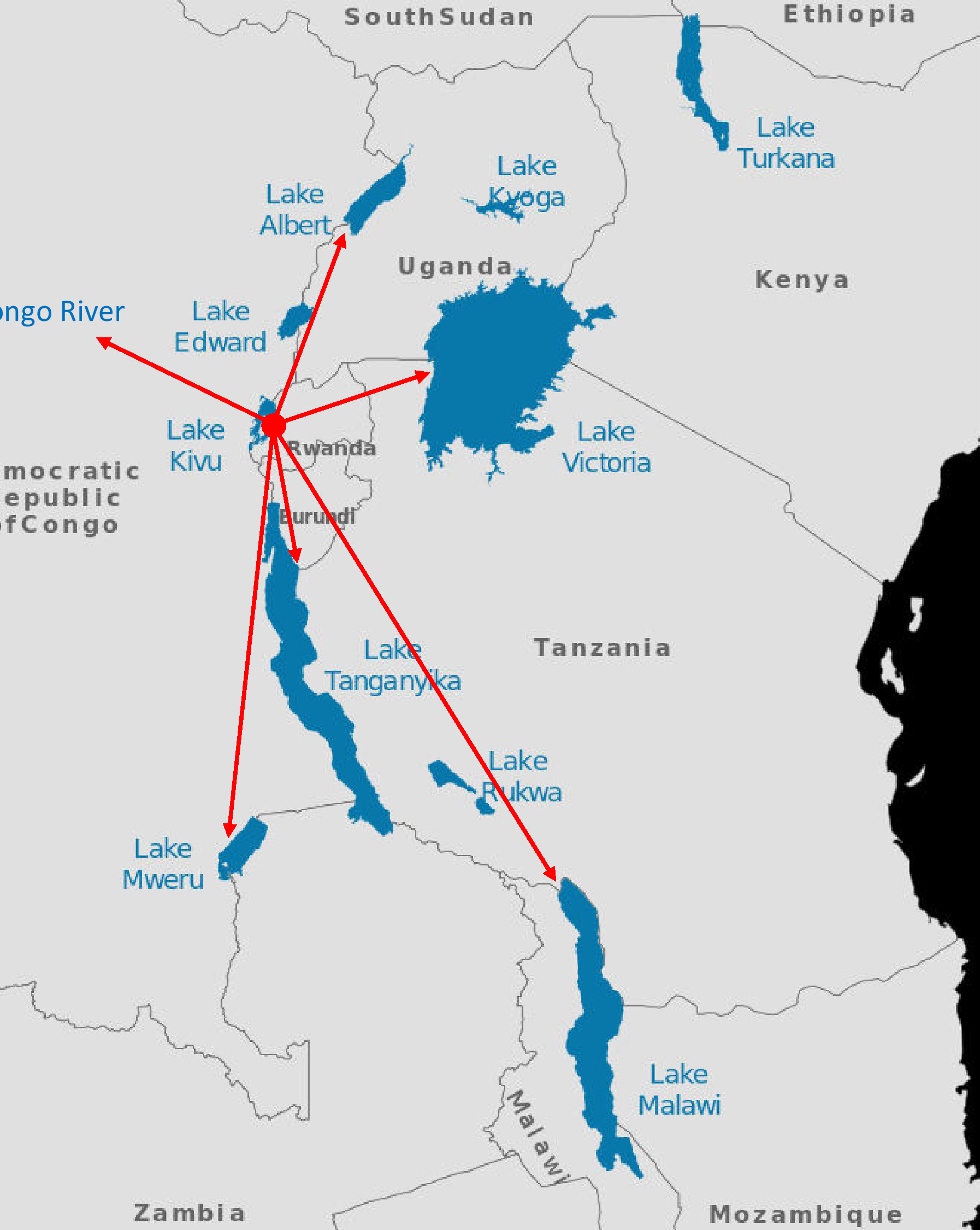 About – AFRINEST ENGINEERING LTD.